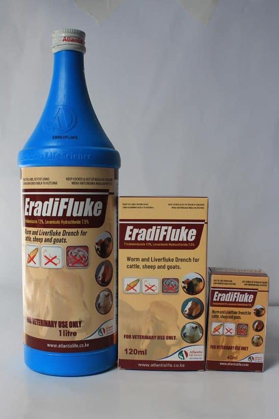 Worms Control with Eradifluke ERADI FLUKE | Atlantis Life Science